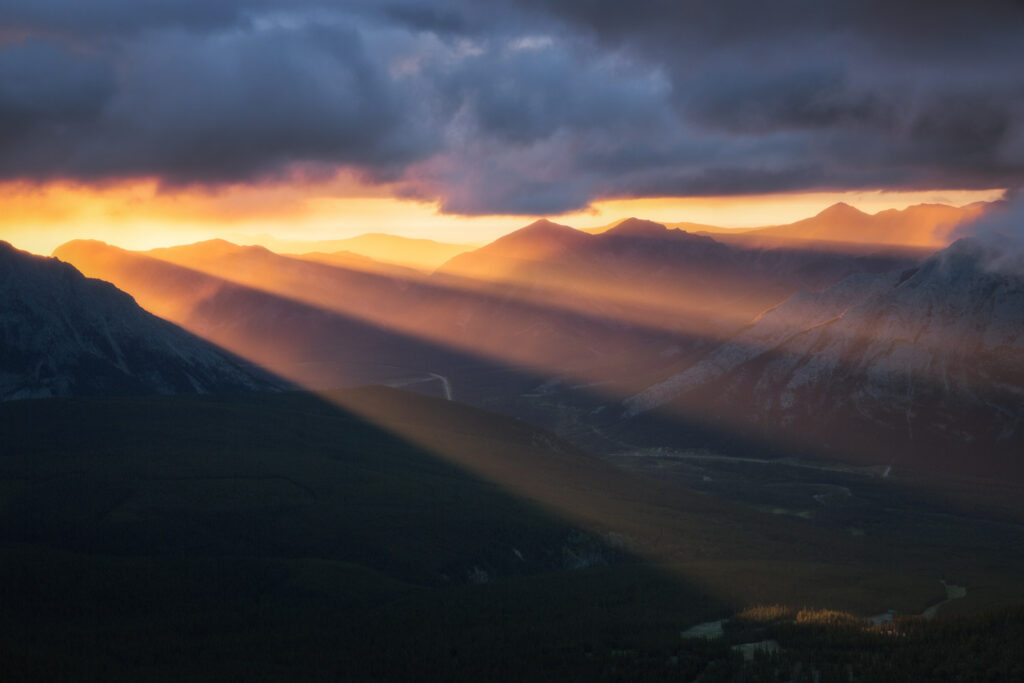 Light - Nick Fitzhardinge Photography