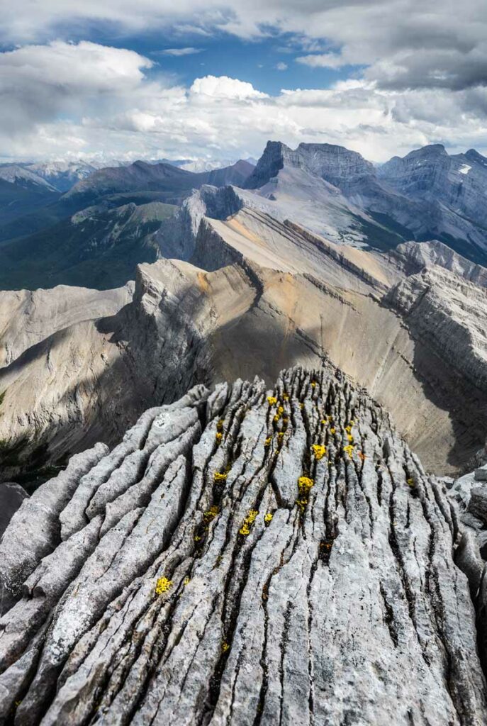 Summit Splendour - Nick Fitzhardinge Photography